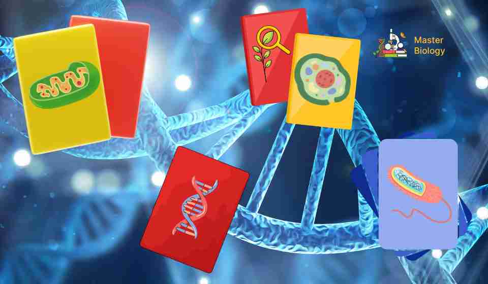 Interactive Biology Flashcards for NEET | NCERT Class 11 & 12