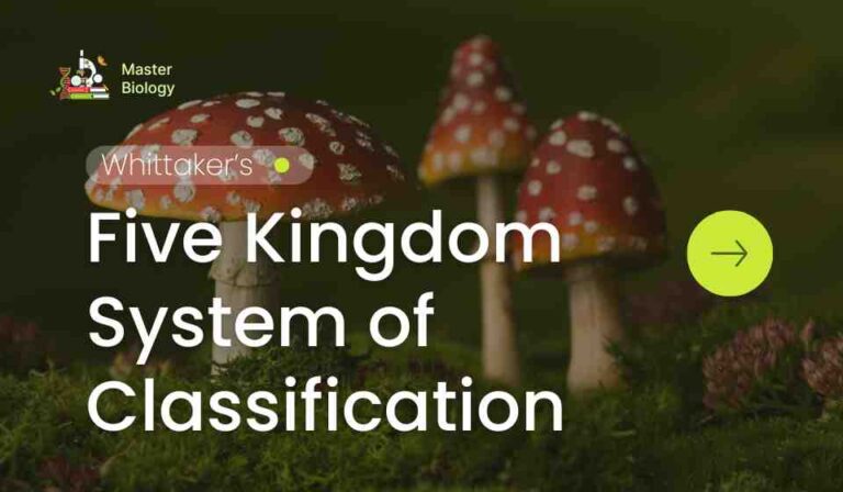 The Five Kingdom System of Classification - Master Biology